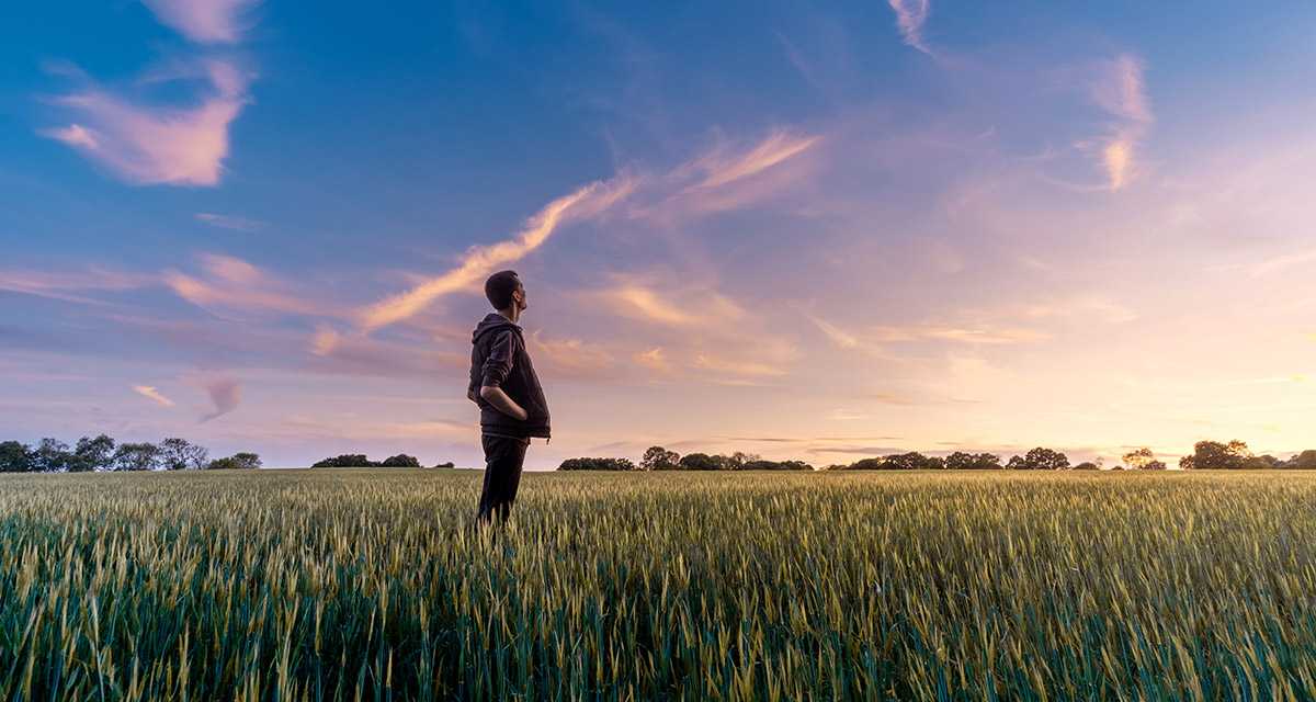 Rural Skills Training | Small Farms Magazine & Book Shop