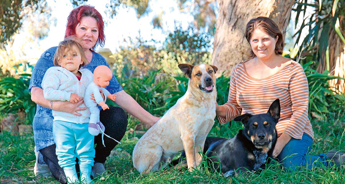 Working hard for working dogs | Small Farms Magazine & Book Shop