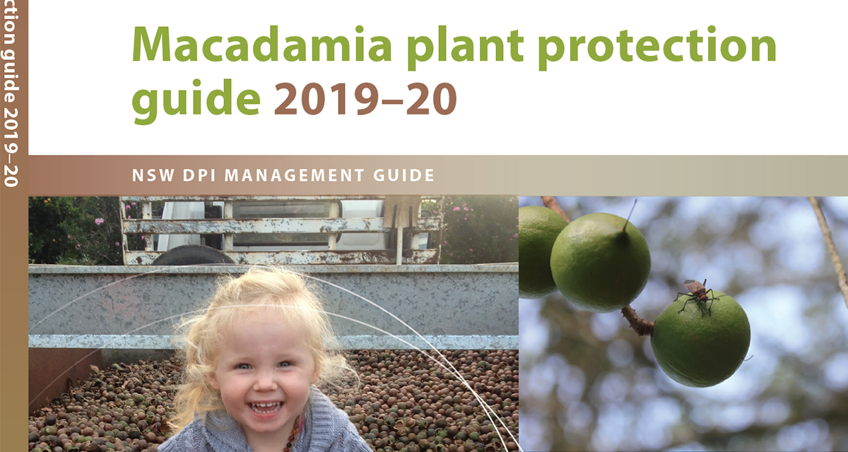 New guide to protect macadamia production | Small Farms Magazine & Book ...