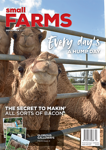 Choosing pasture grasses | Small Farms Magazine & Book Shop