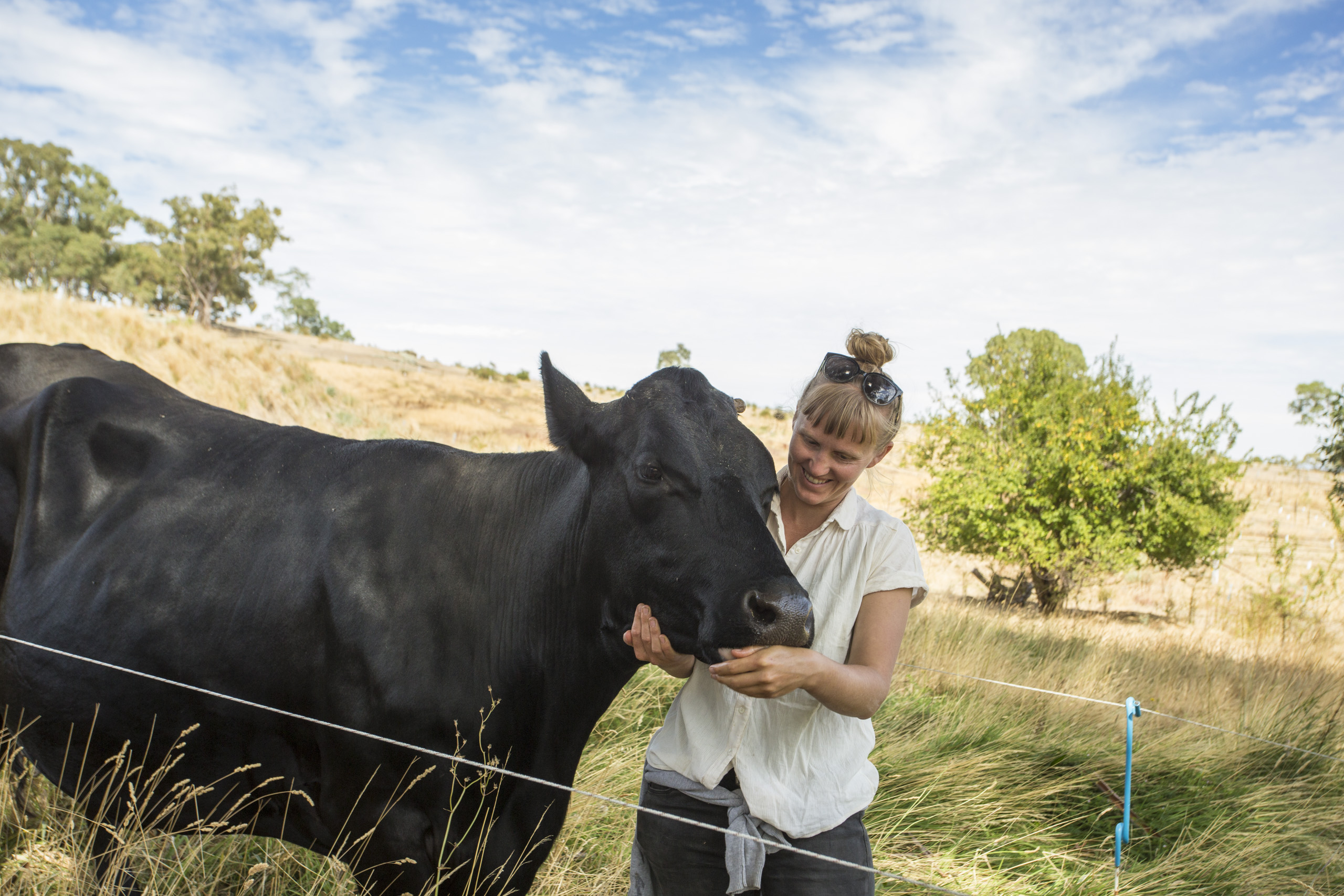 Tiny dairy is milking big ideas | Small Farms Magazine & Book Shop