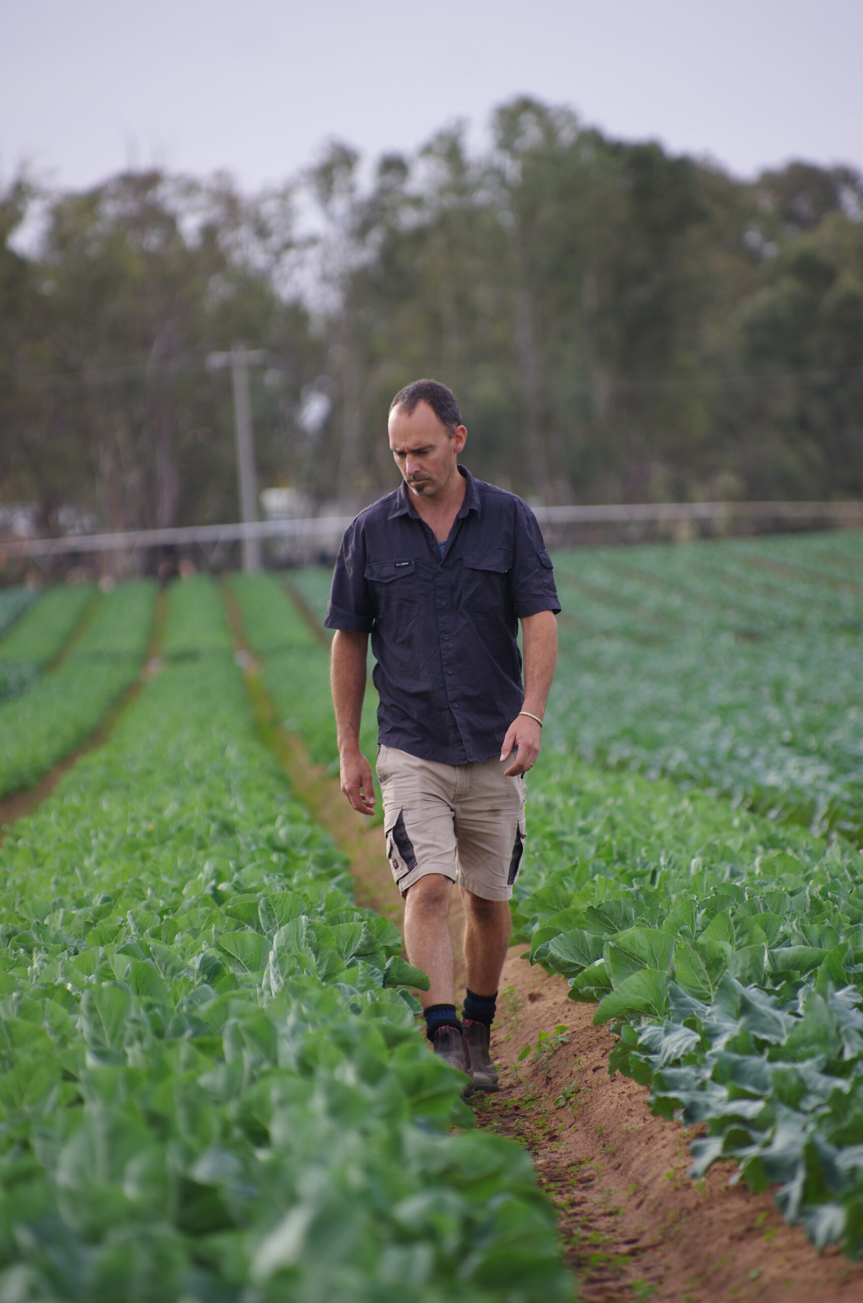 Do it properly the first time | Small Farms Magazine & Book Shop