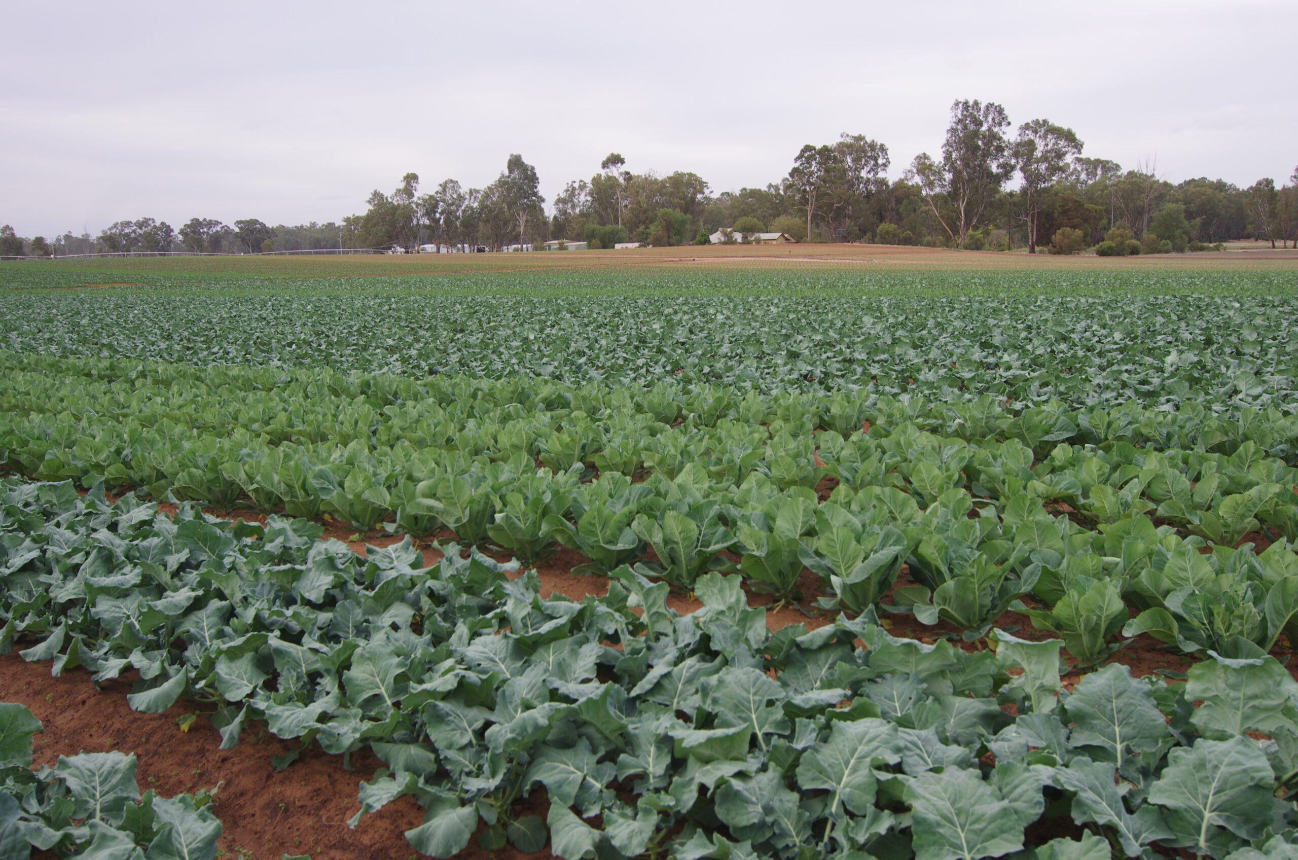 Do it properly the first time | Small Farms Magazine & Book Shop