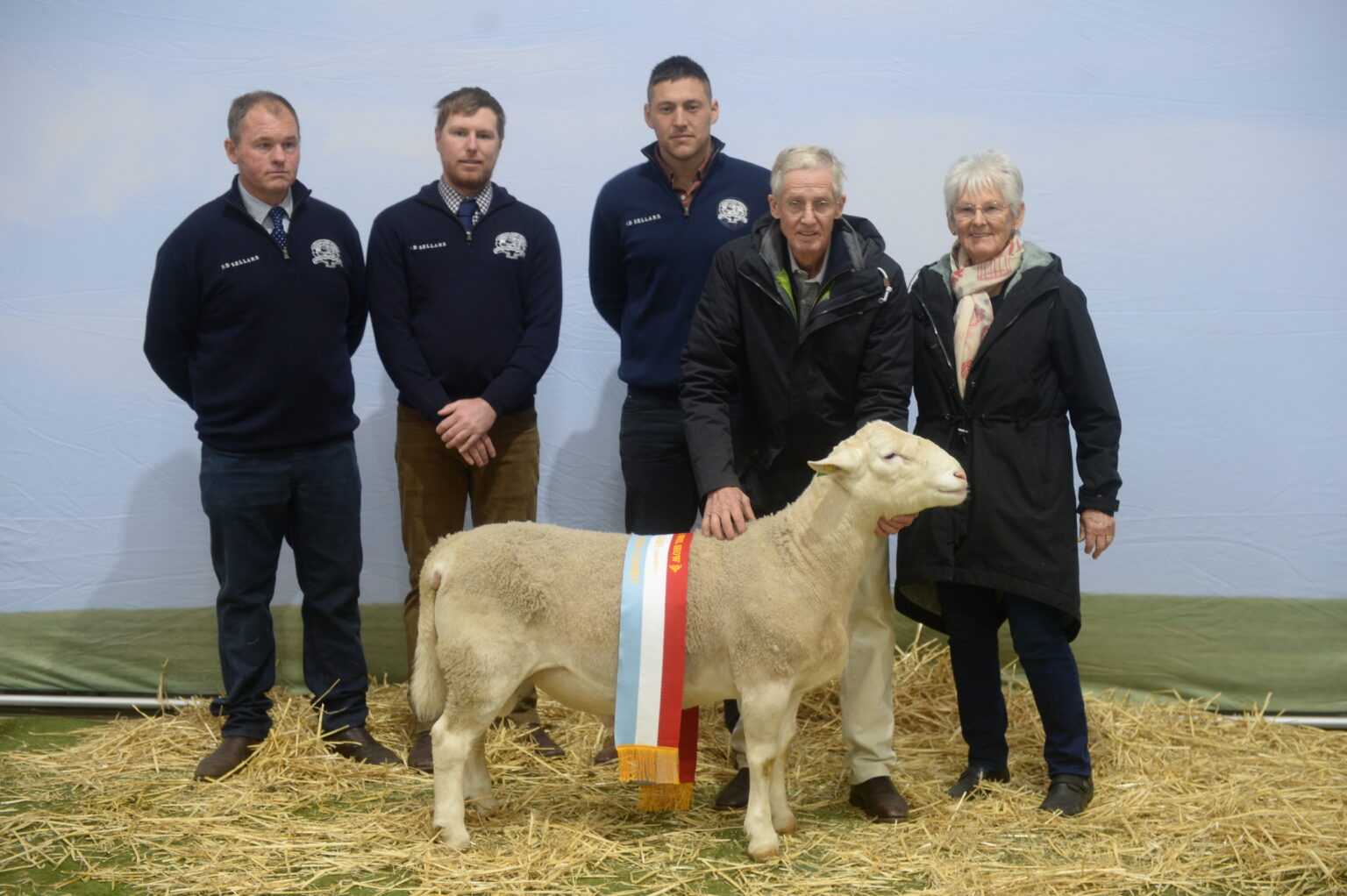 Sheep show back with a bang | Small Farms Magazine & Book Shop