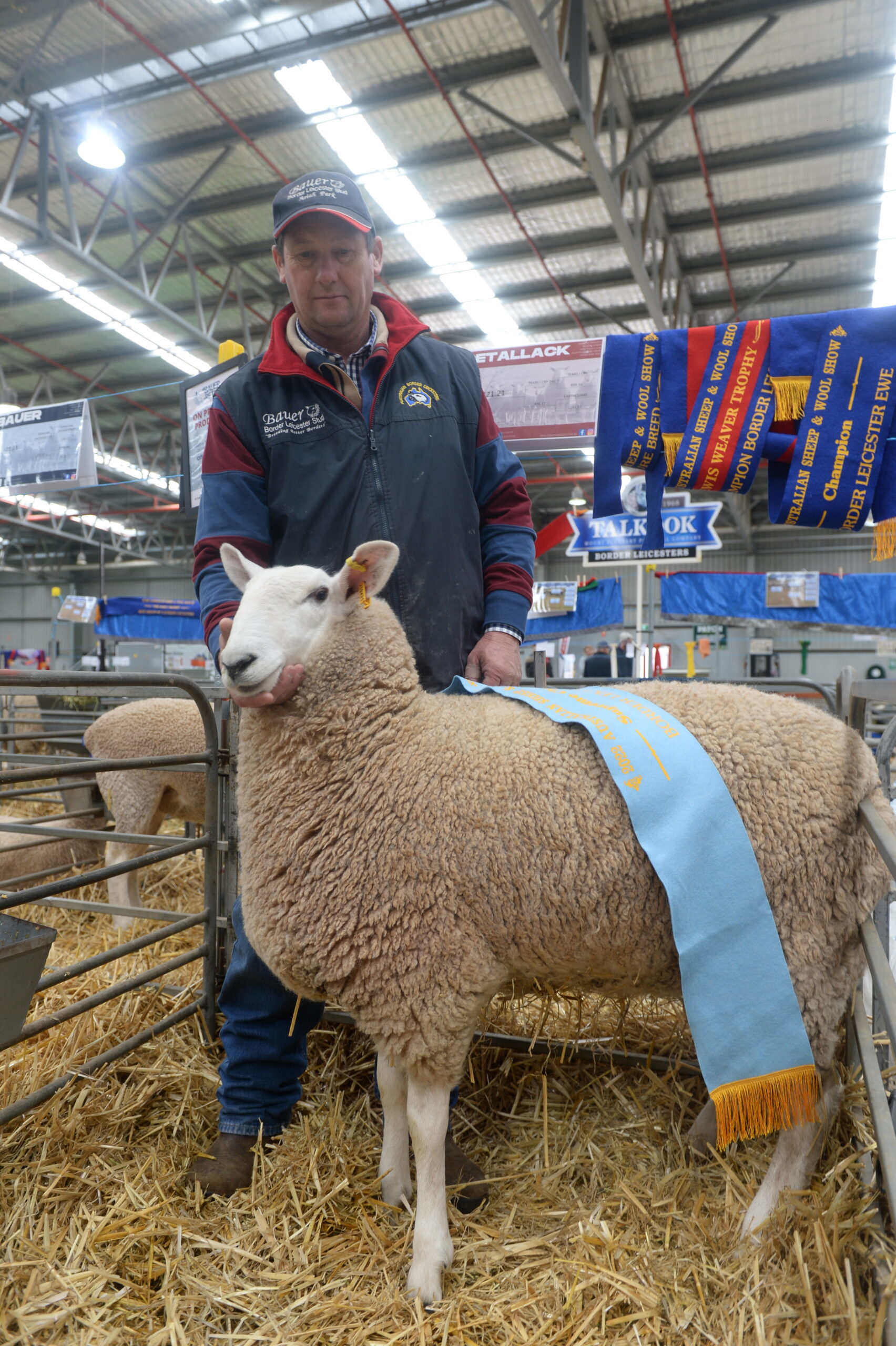 Sheep show back with a bang | Small Farms Magazine & Book Shop