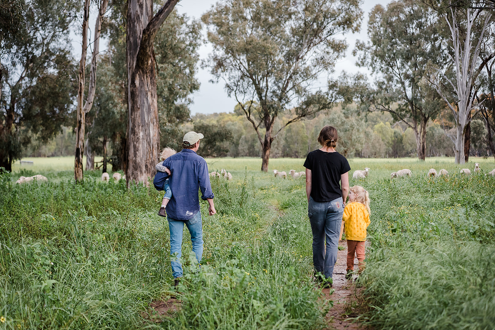 Regenerative farms on the map | Small Farms Magazine & Book Shop
