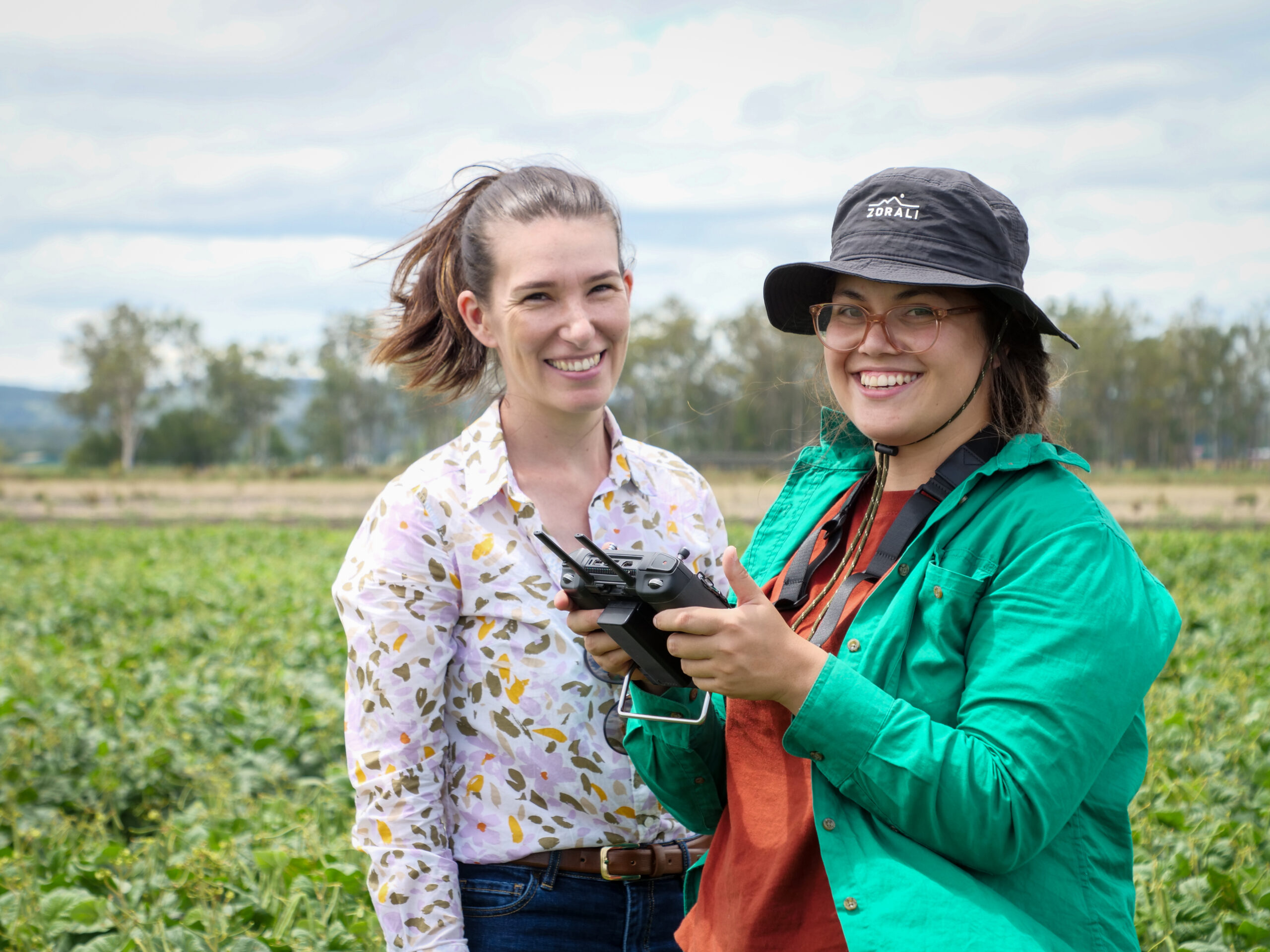 Improving the yield of ‘money’ beans | Small Farms Magazine & Book Shop