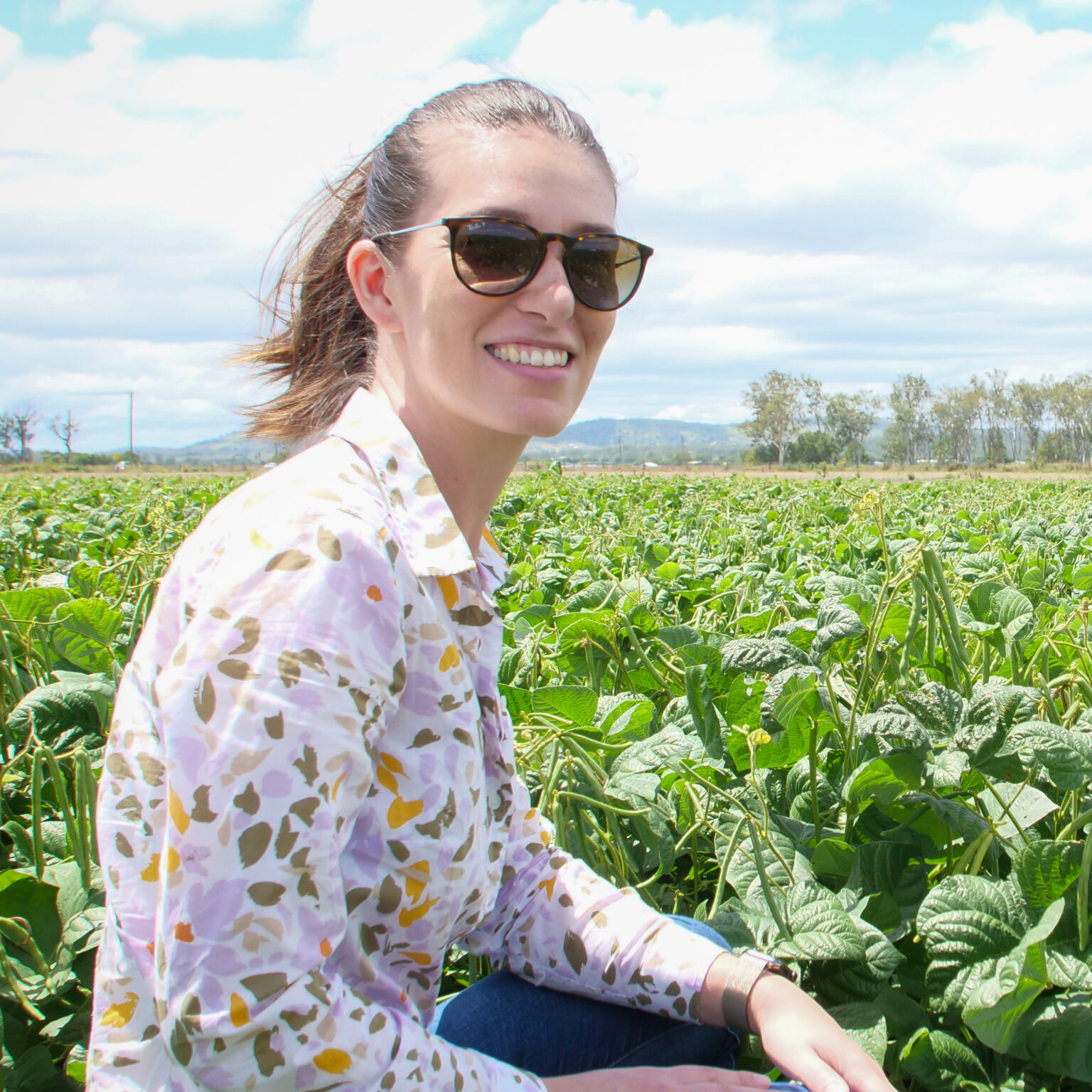 Improving the yield of ‘money’ beans | Small Farms Magazine & Book Shop