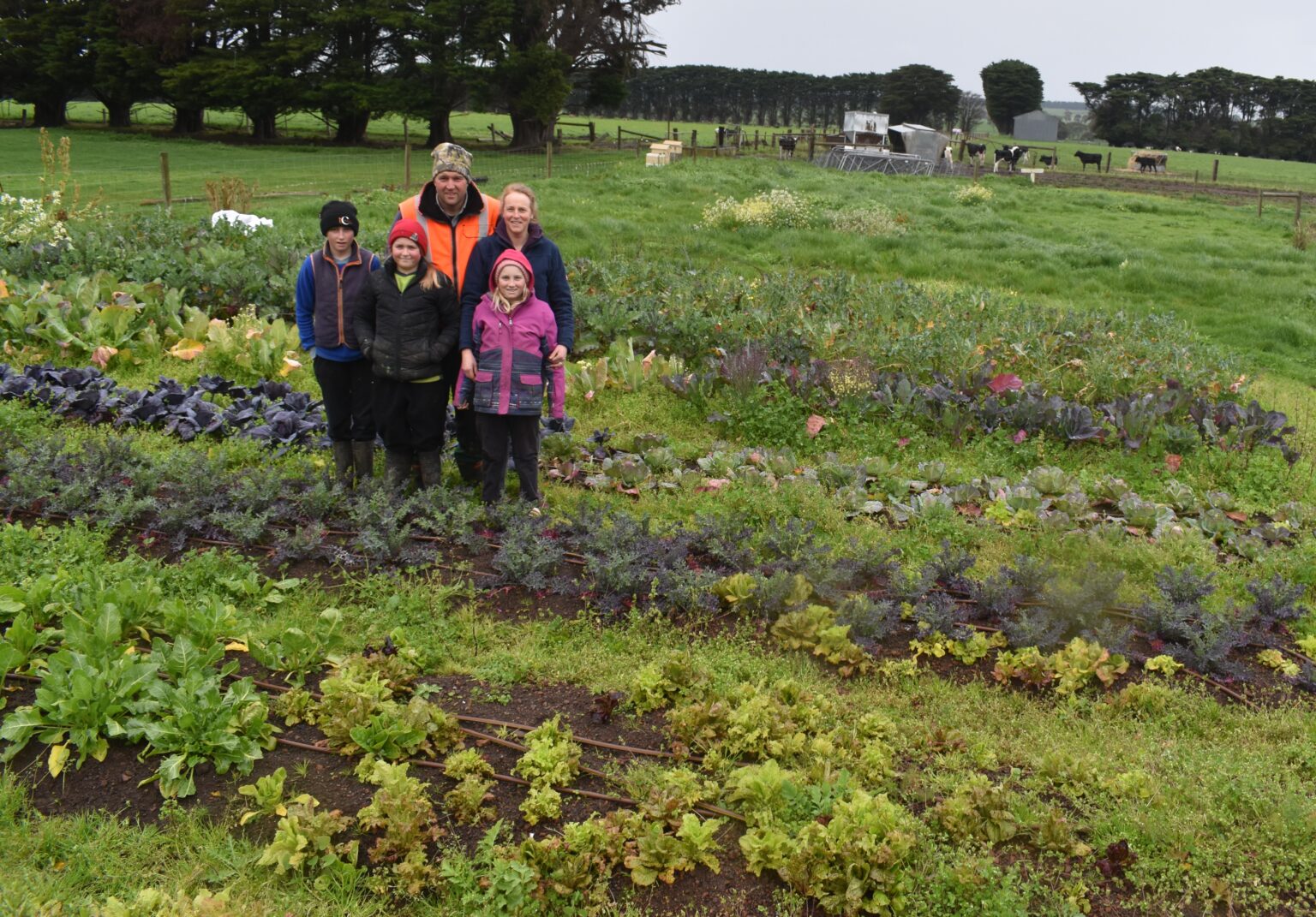 A big little farm | Small Farms Magazine & Book Shop