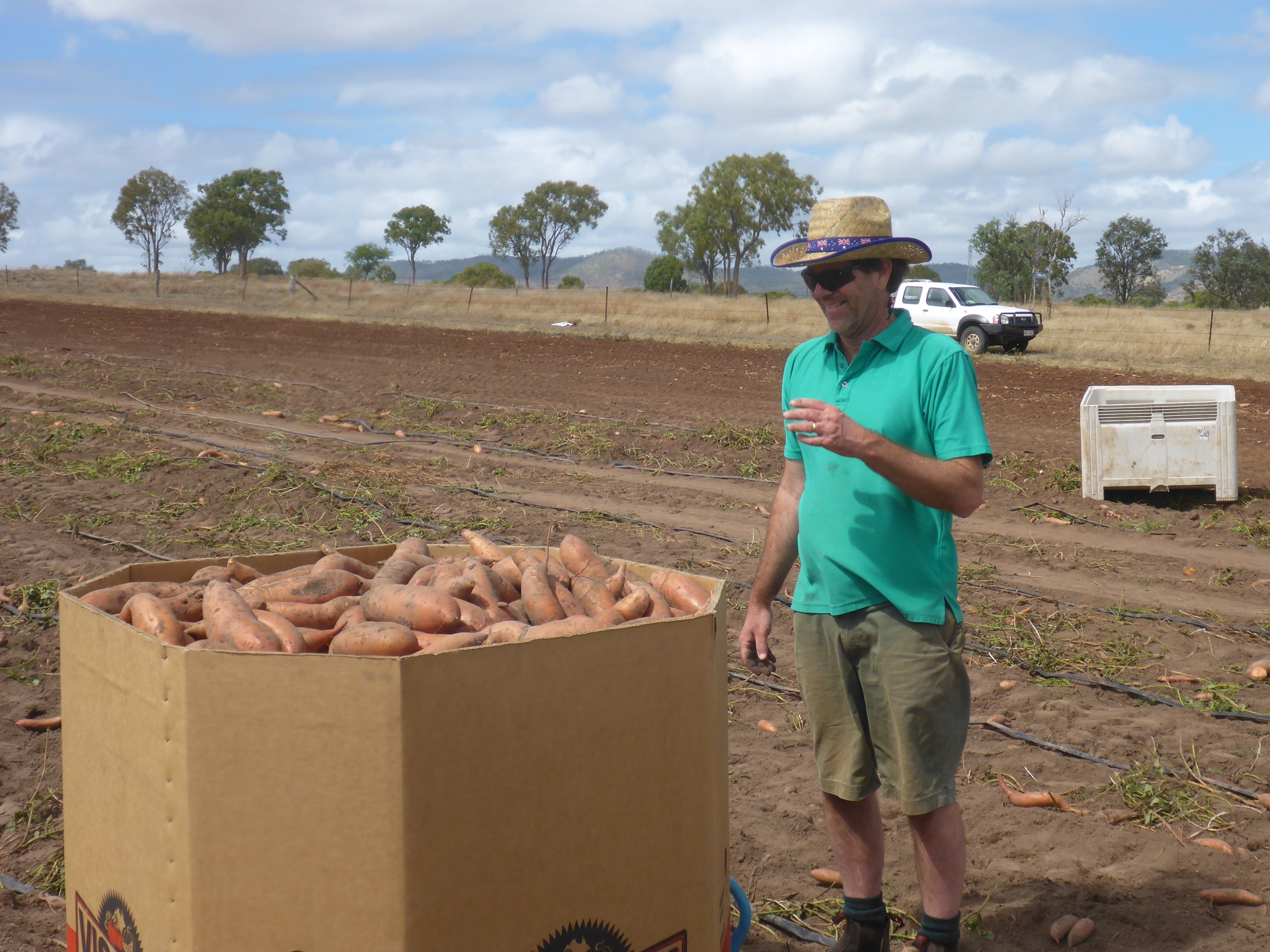 When shape and size really do matter | Small Farms Magazine & Book Shop