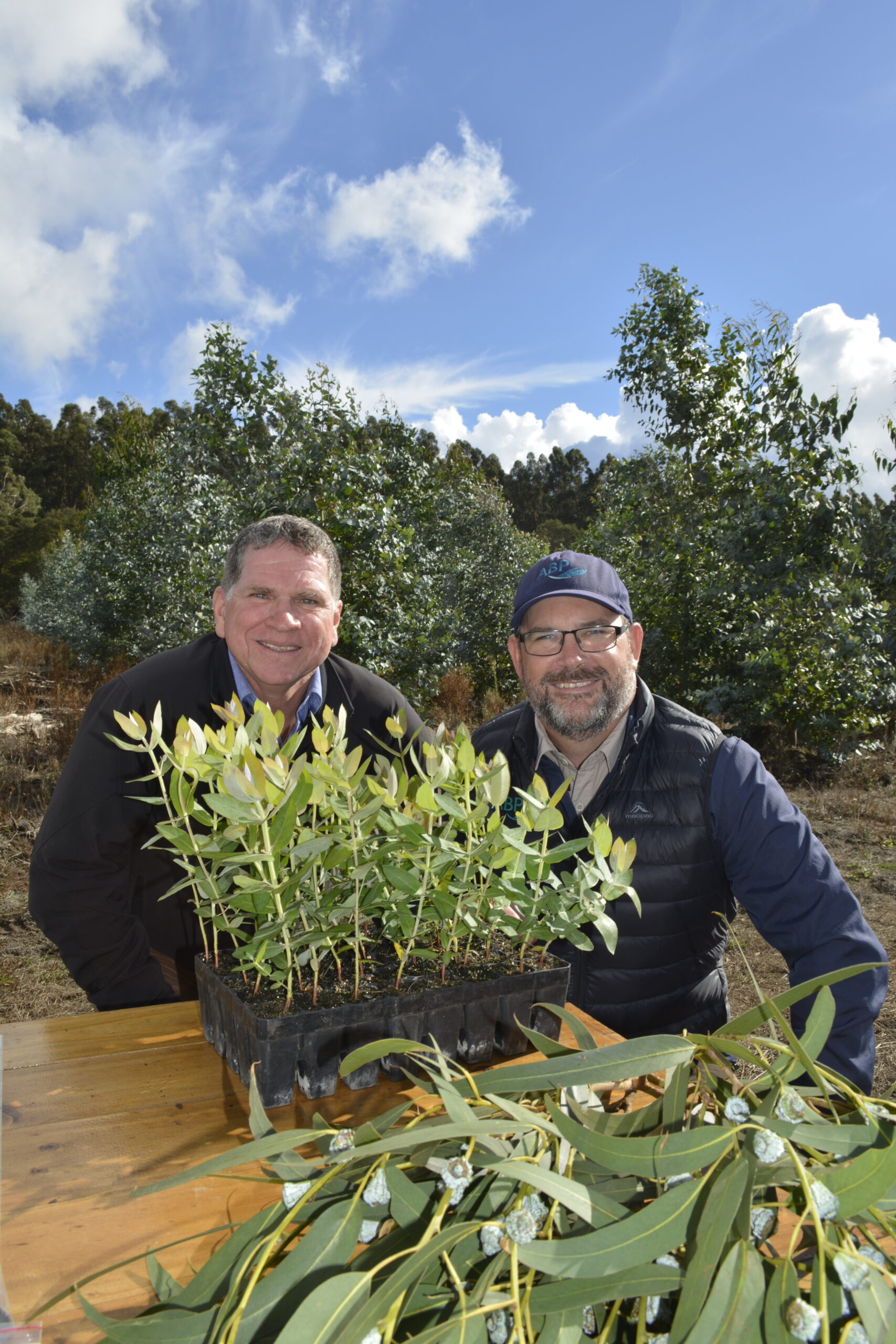 Sowing the seeds of the future | Small Farms Magazine & Book Shop