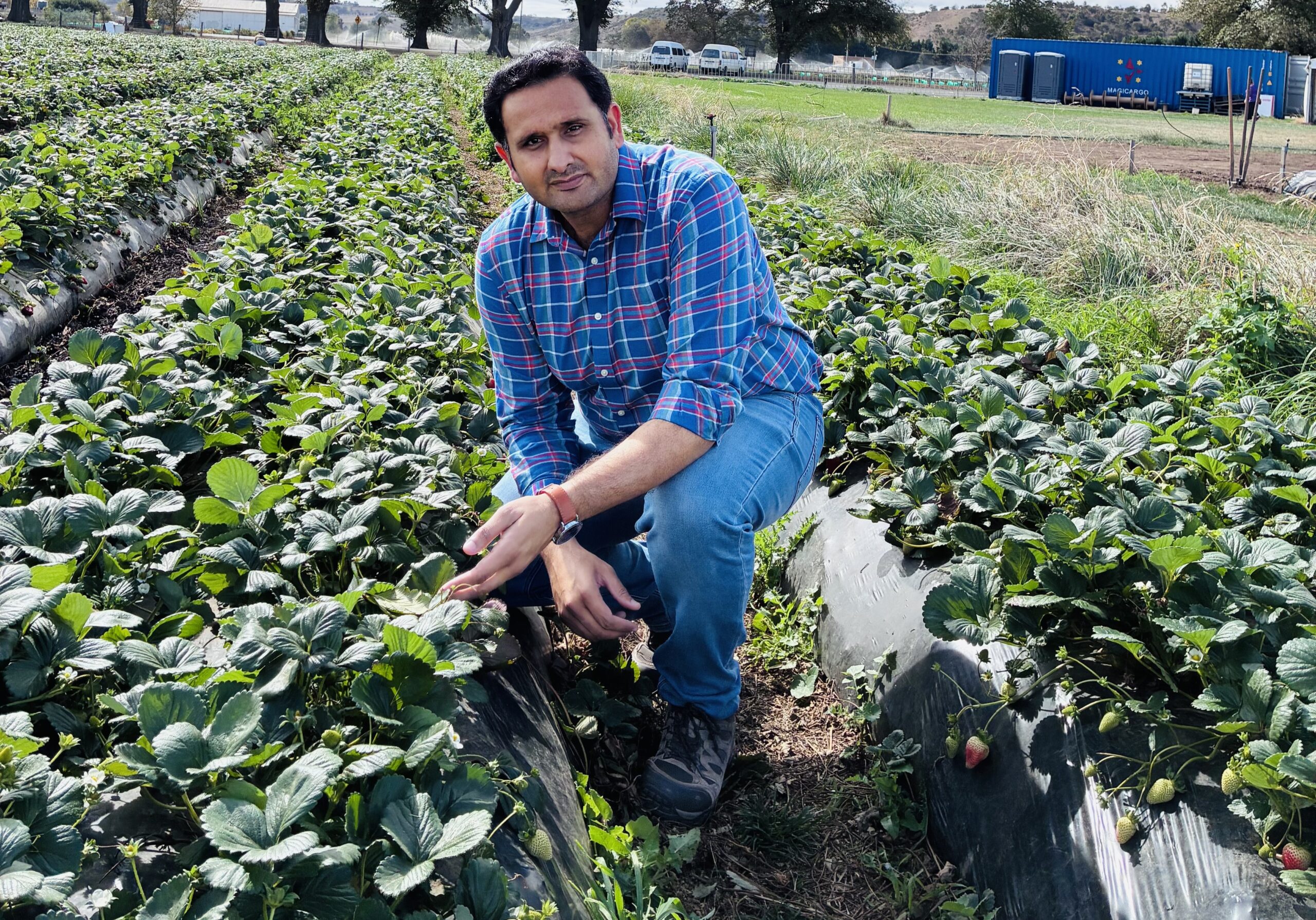 Weed control boosts crops | Small Farms Magazine & Book Shop