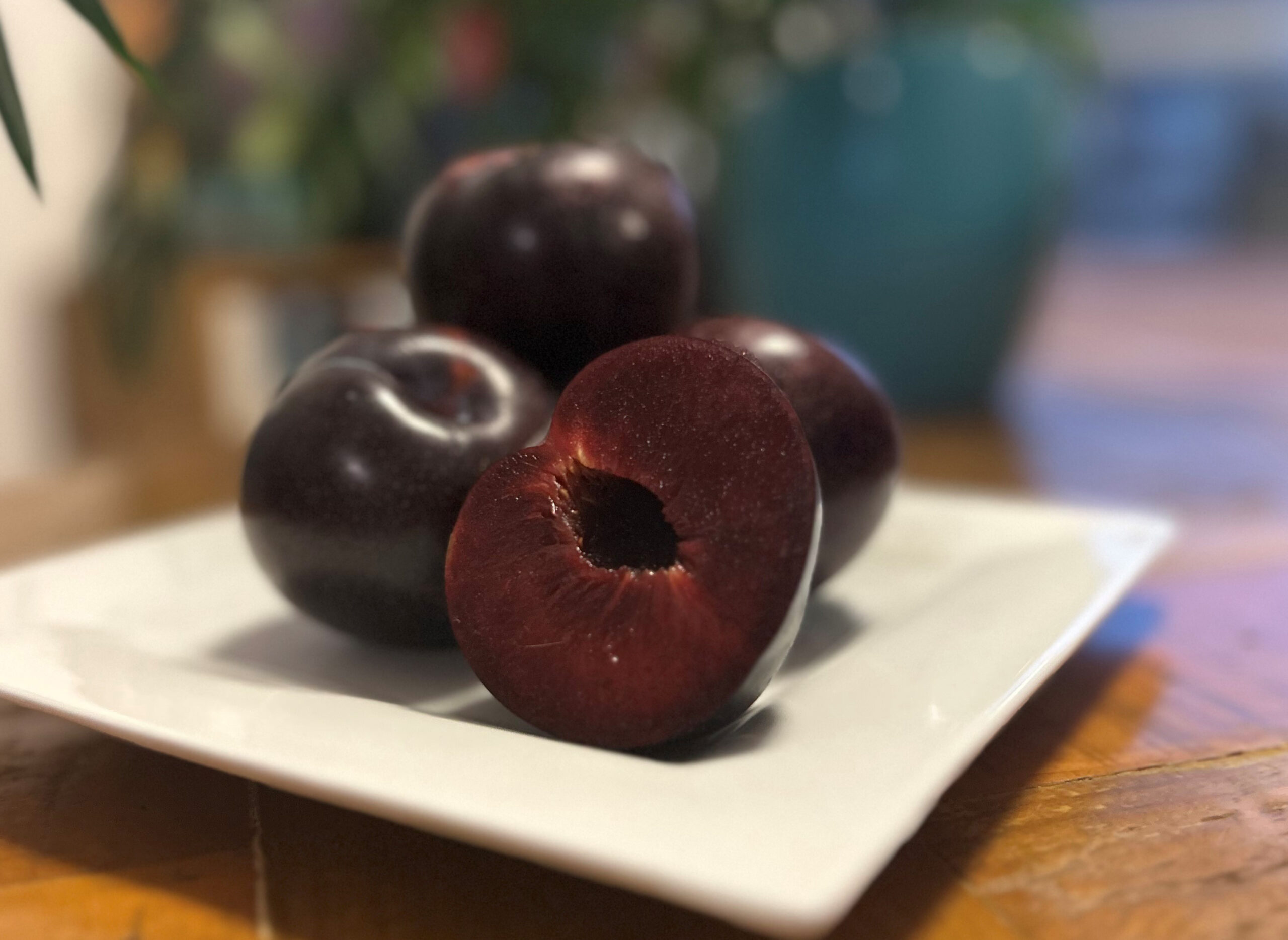 Potent potential of plums | Small Farms Magazine & Book Shop