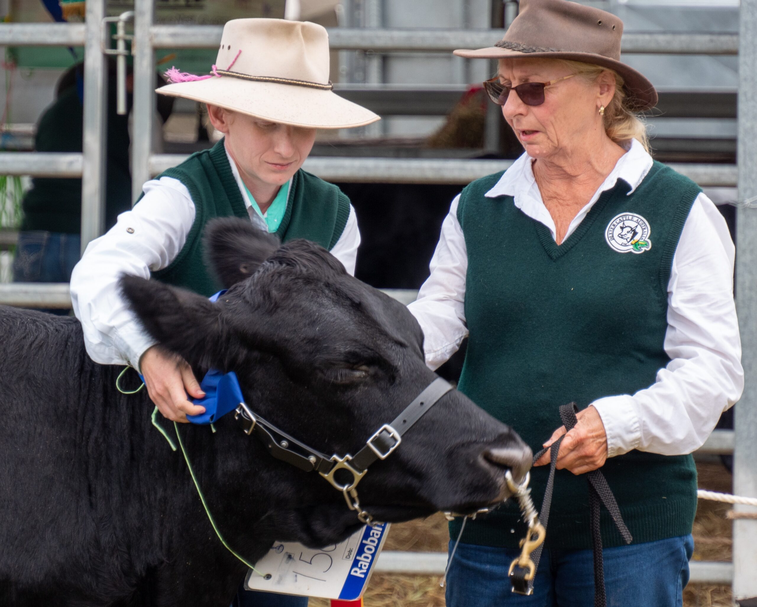 Support at hand for Dexter lovers | Small Farms Magazine & Book Shop