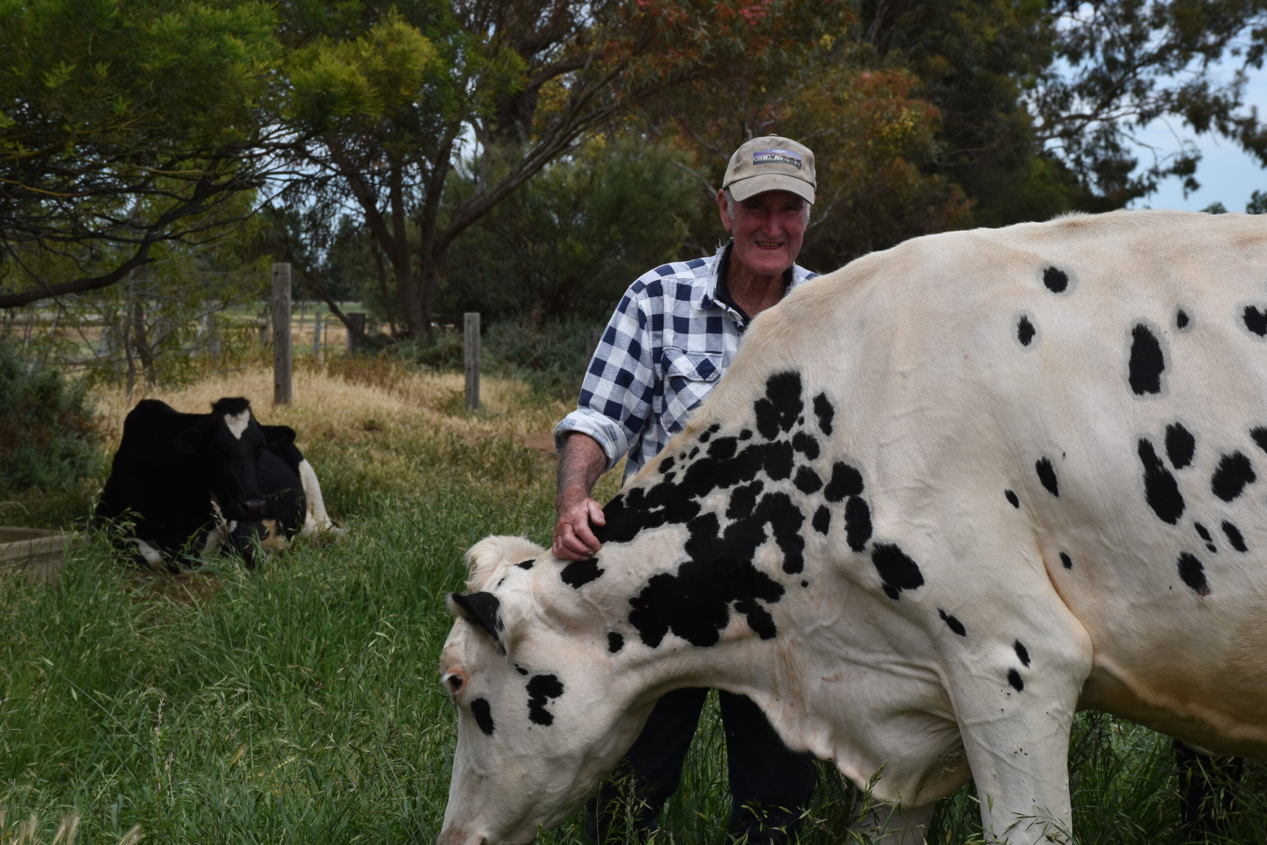 Jeff’s happiest among his cows | Small Farms Magazine & Book Shop